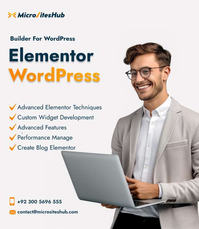 WordPress Site Building and Customization with Elementor - MicrositesHub